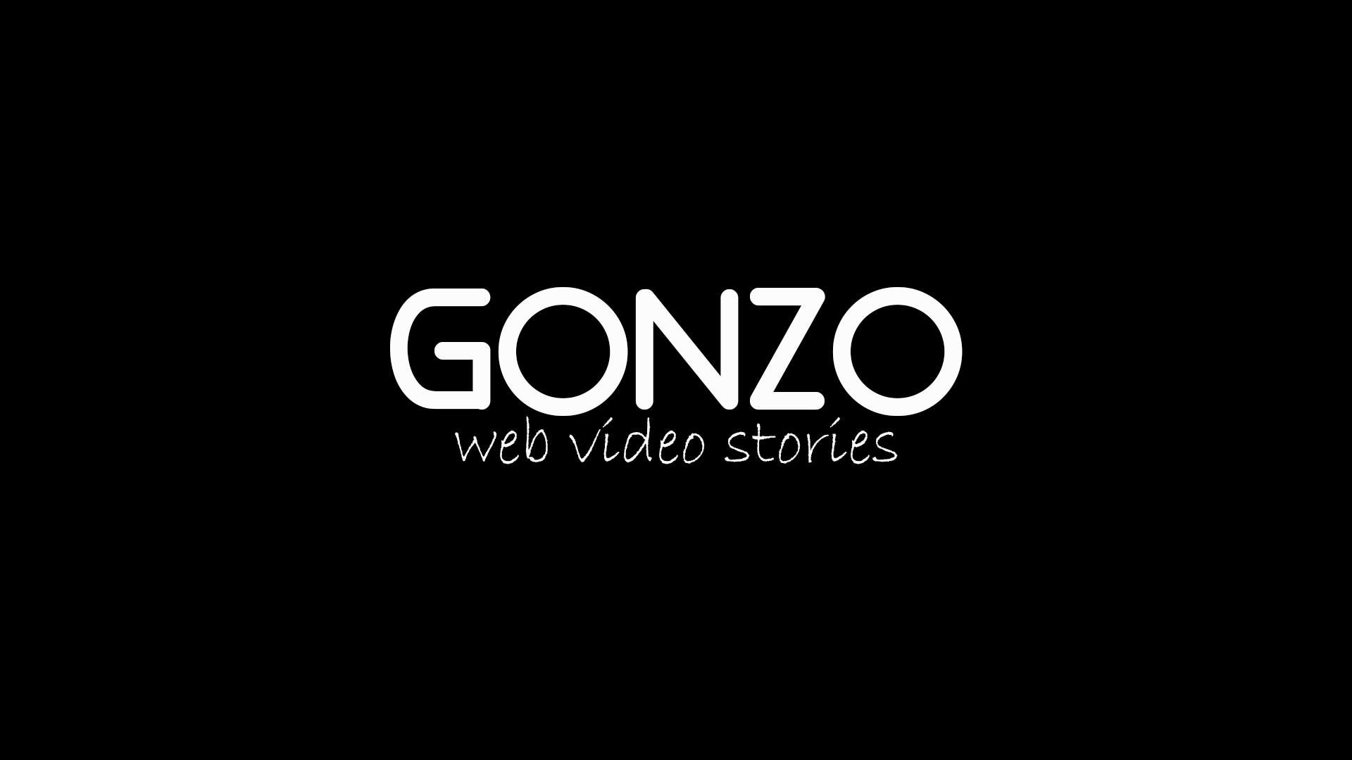 Gonzo Web Video Stories – Medium