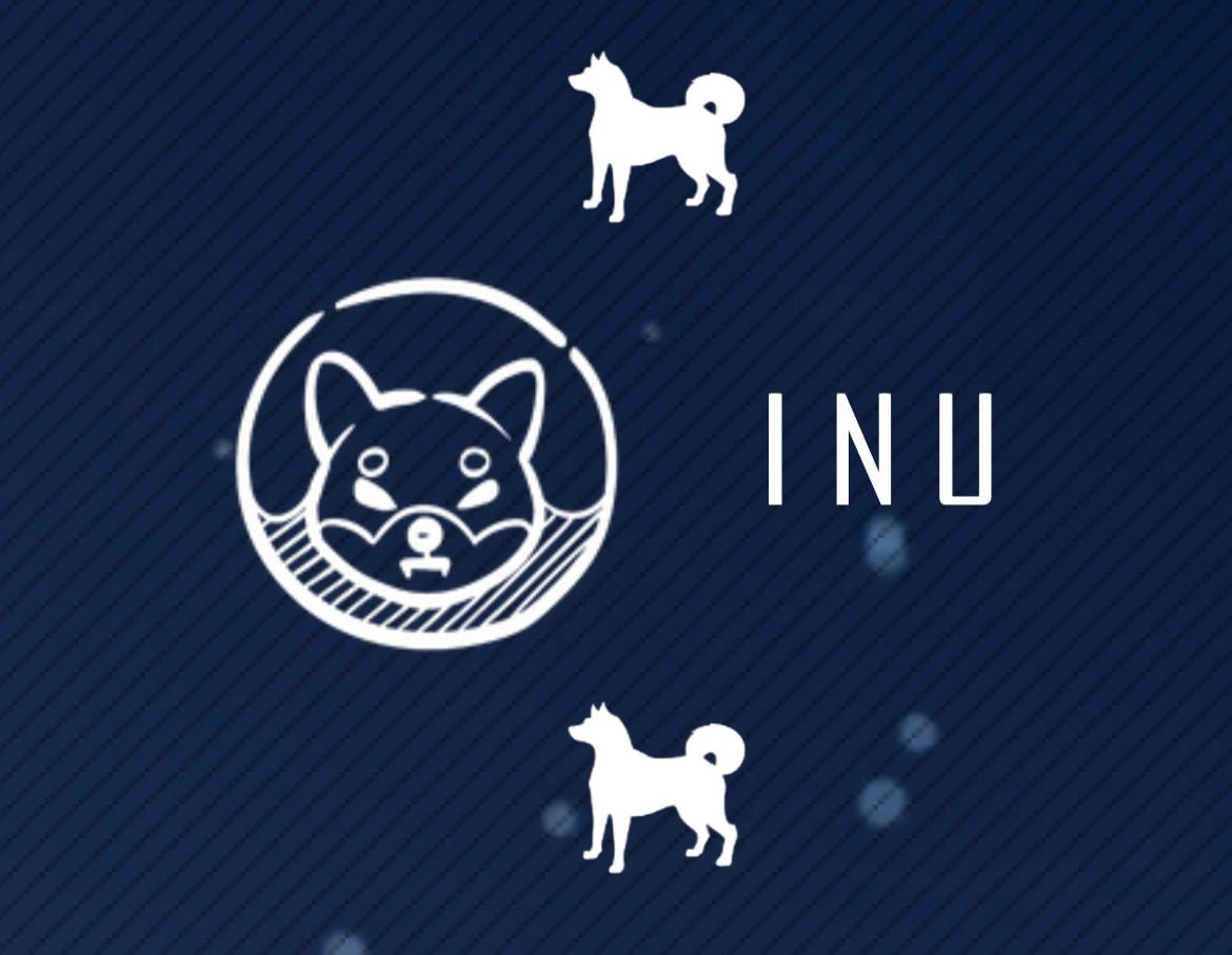 The Inu Dojo – Medium