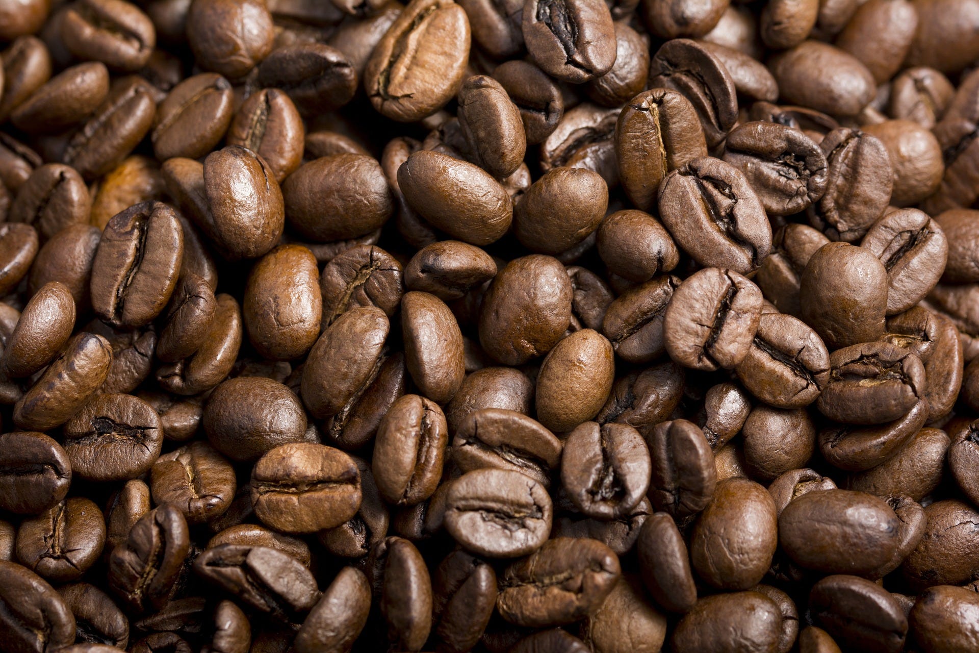 Coffee Geek – Medium
