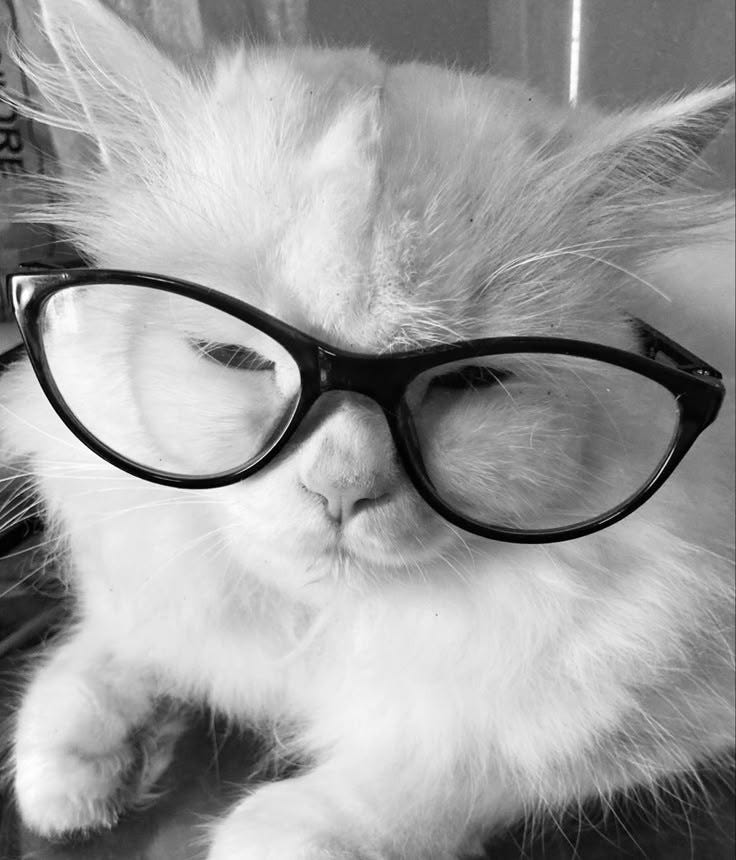 nas. – Medium