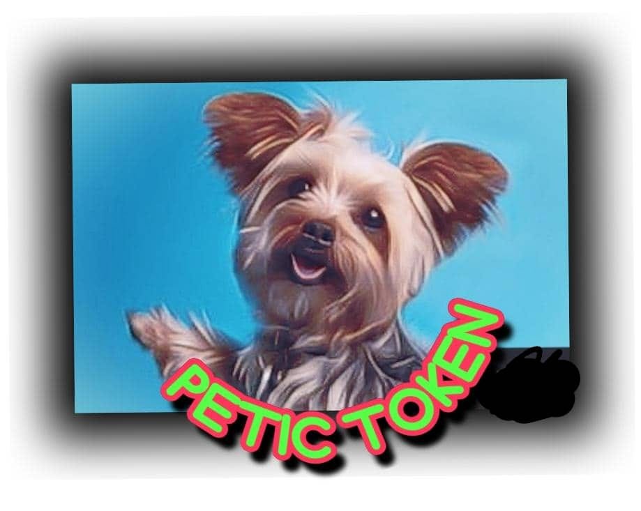 PETIC token=Pets International competition skills on Medium curated ...