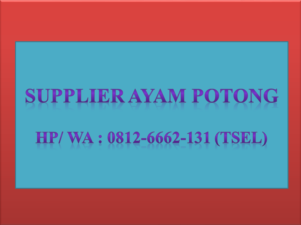 Supplier Ayam Potong – Medium