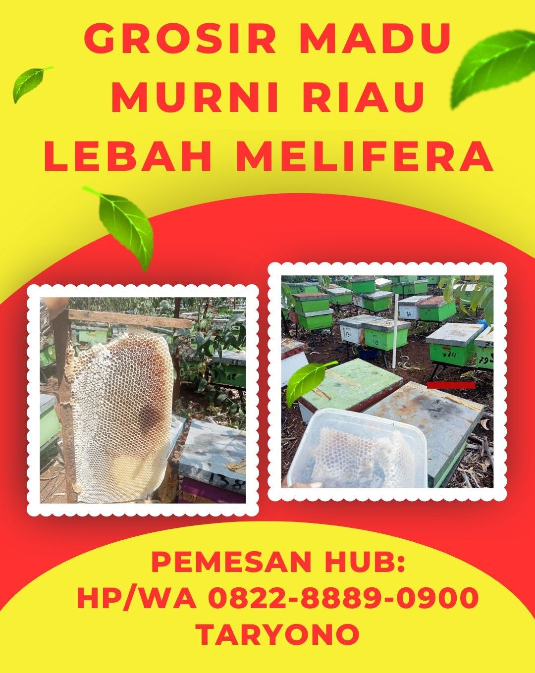 Taryono Grosir Madu – Medium