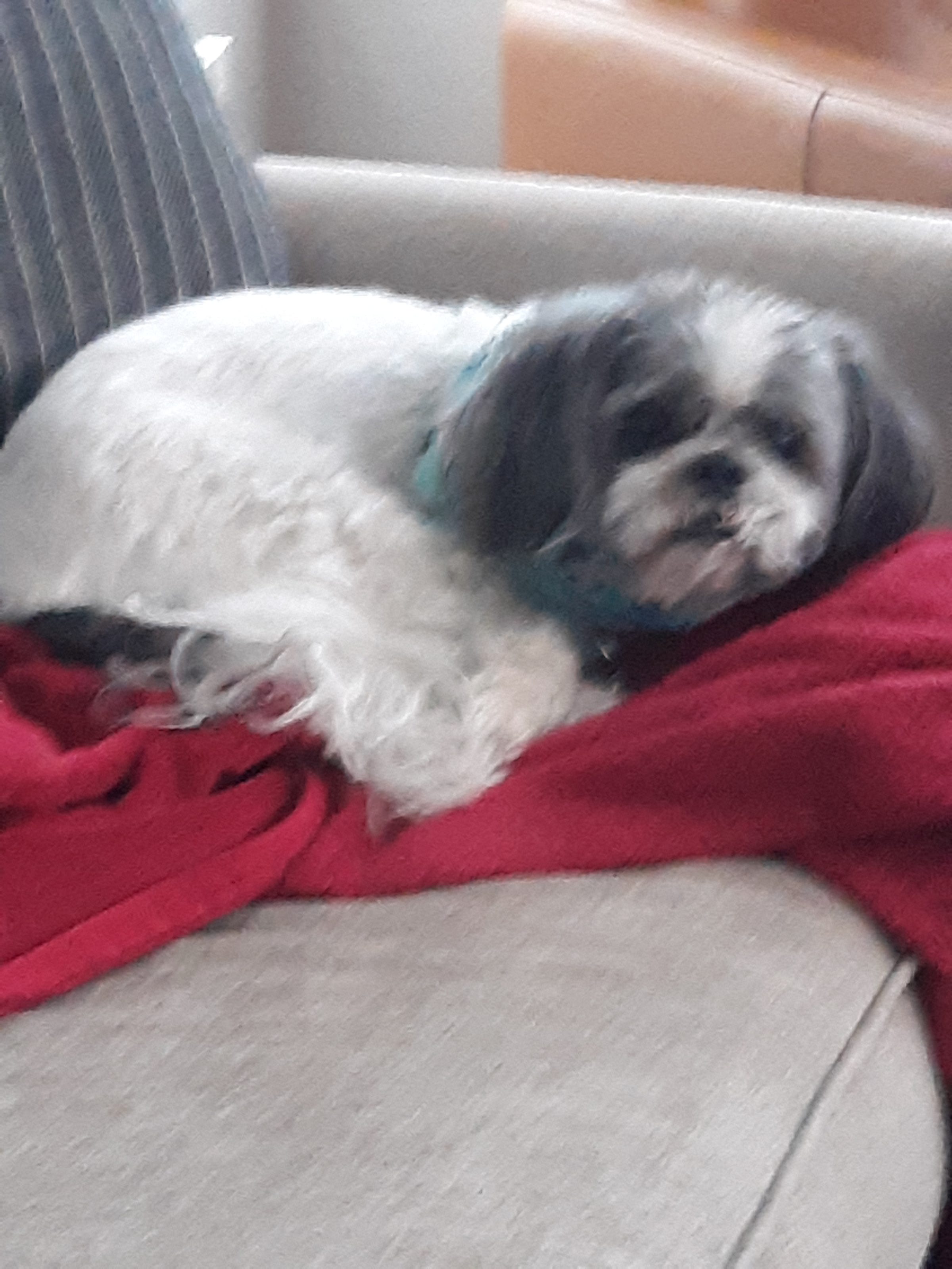 Pat Allen – Medium