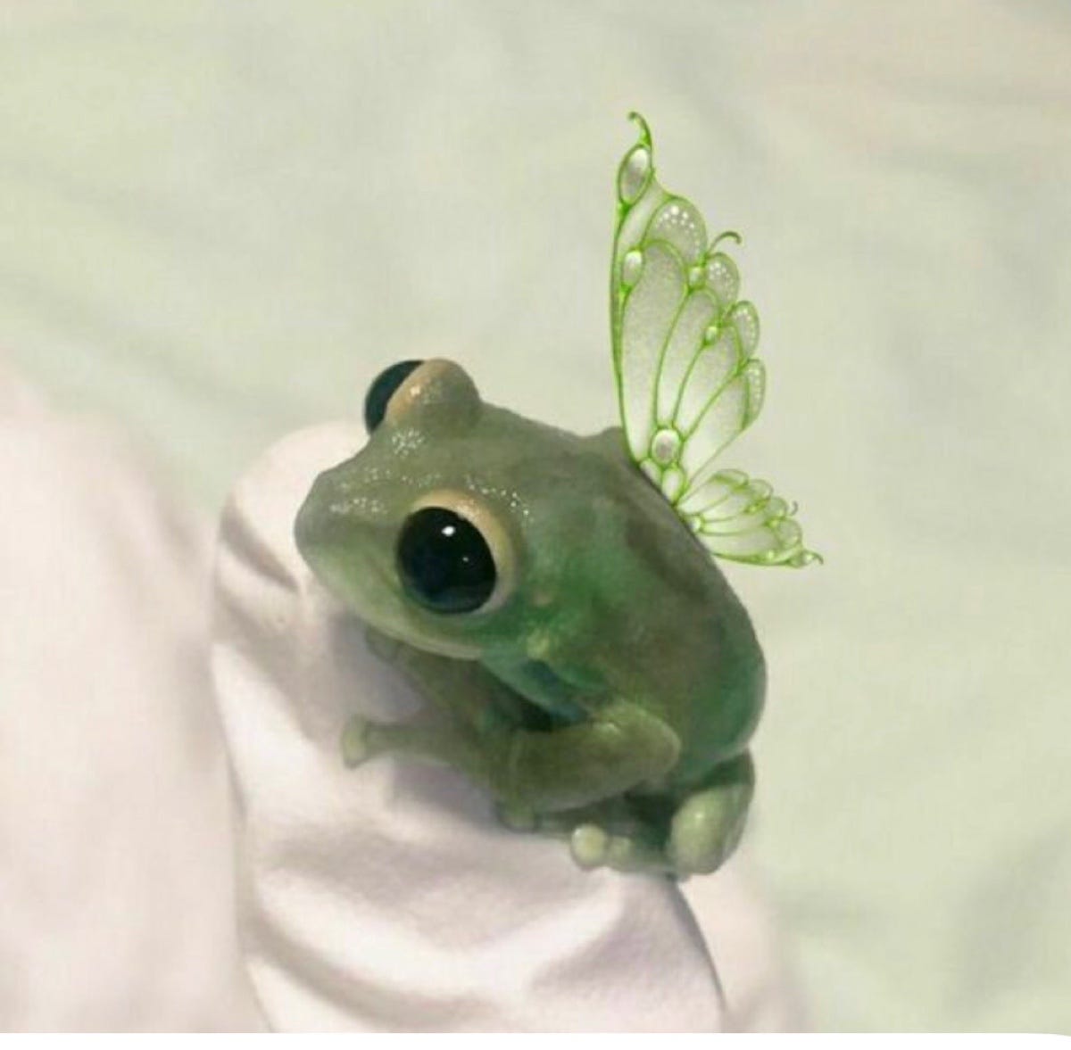 Anu Delgertsetseg – Medium