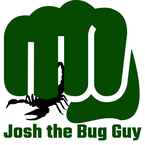 Josh The Bug Guy – Medium