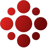SAR Custom Solutions – Medium