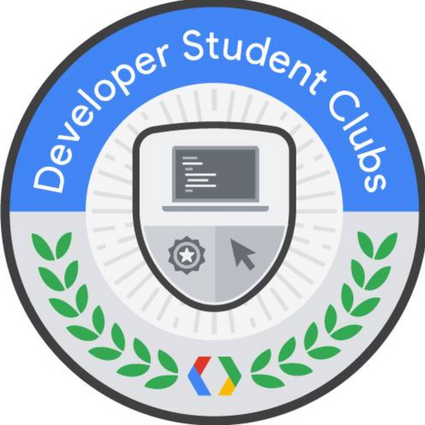 DSC DCE – Medium