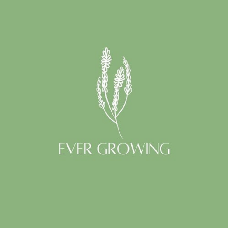 About – Evergrowing – Medium