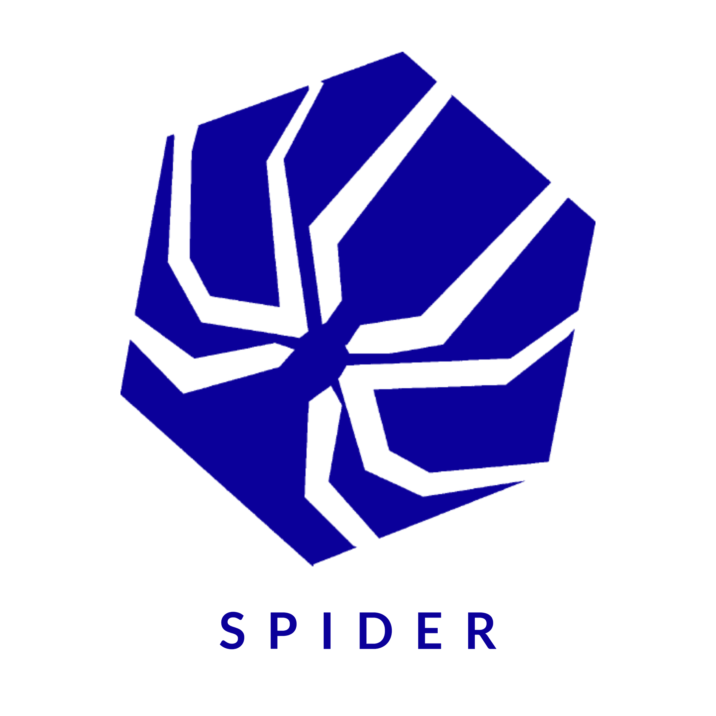 SPIDER R&D – Medium