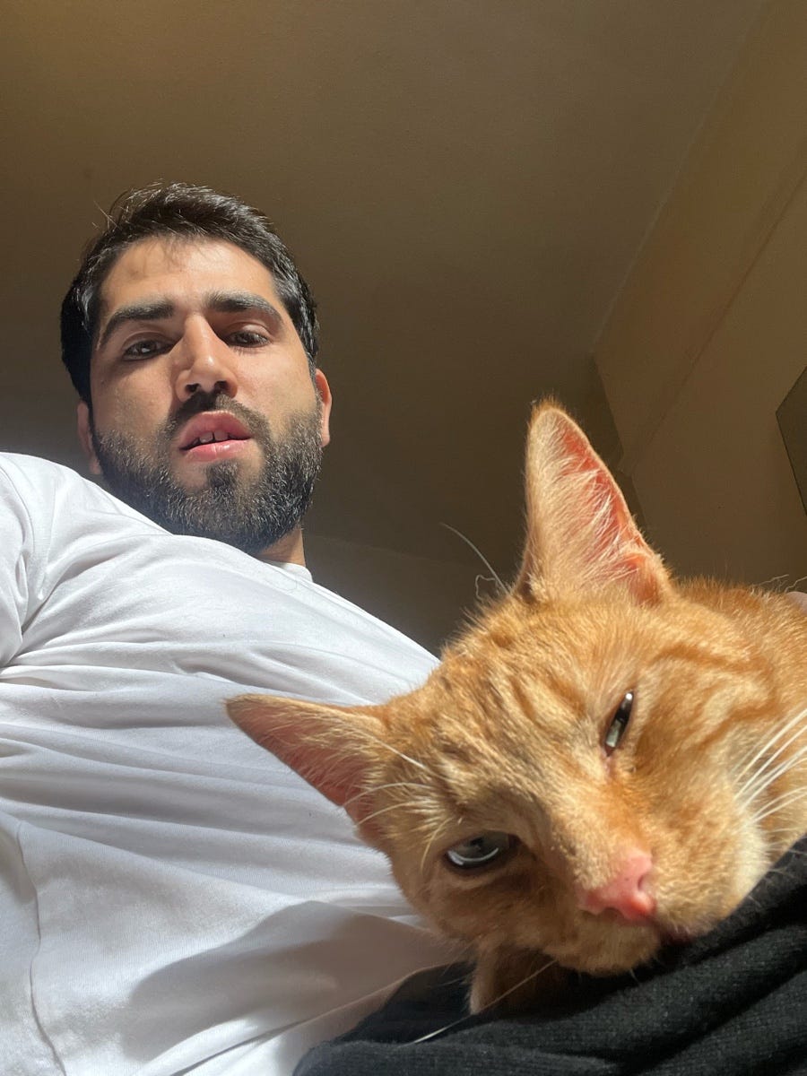 Fraidoon Omarzai – Medium