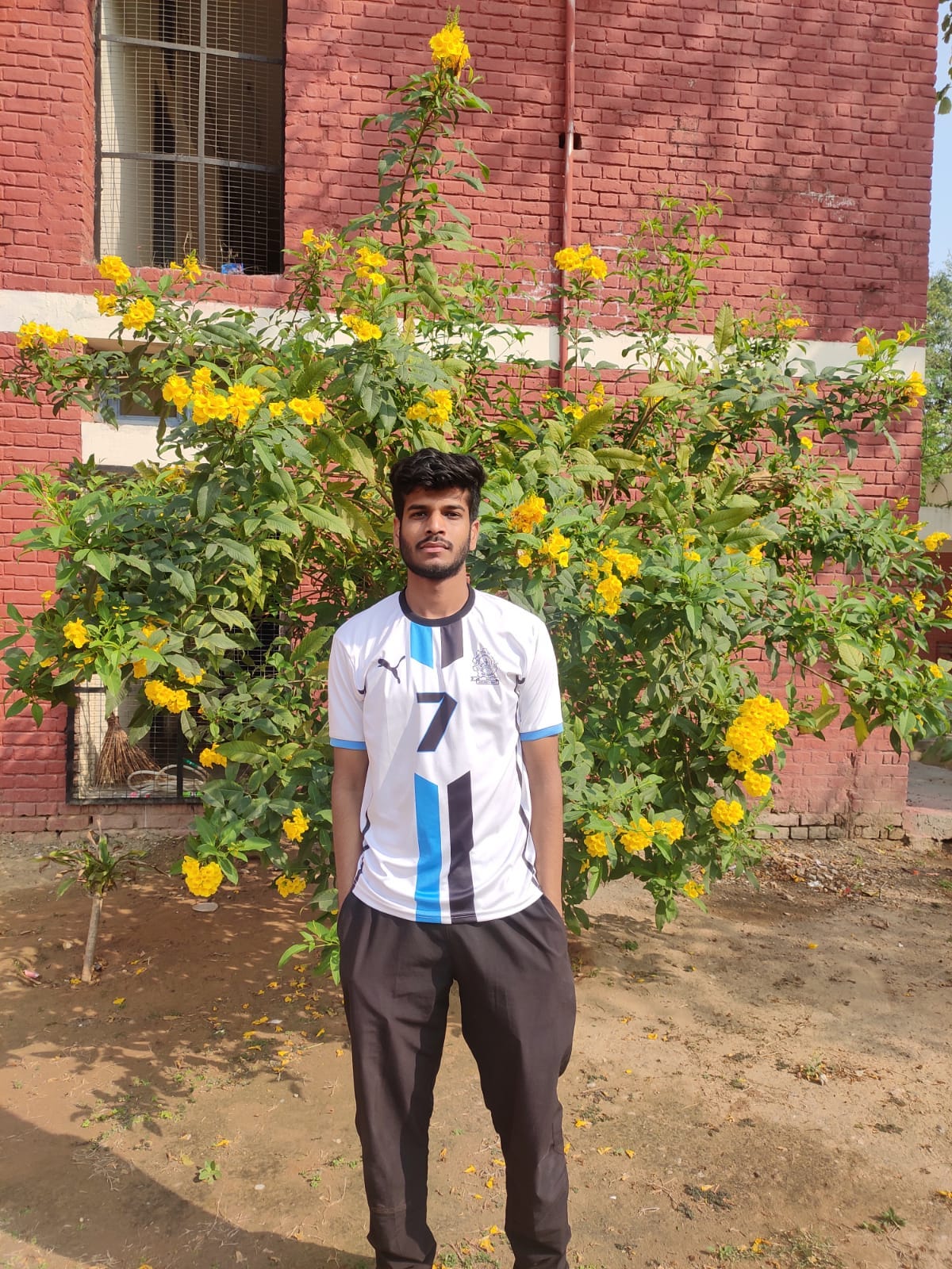 Pushpendra Bithu on Medium curated some lists