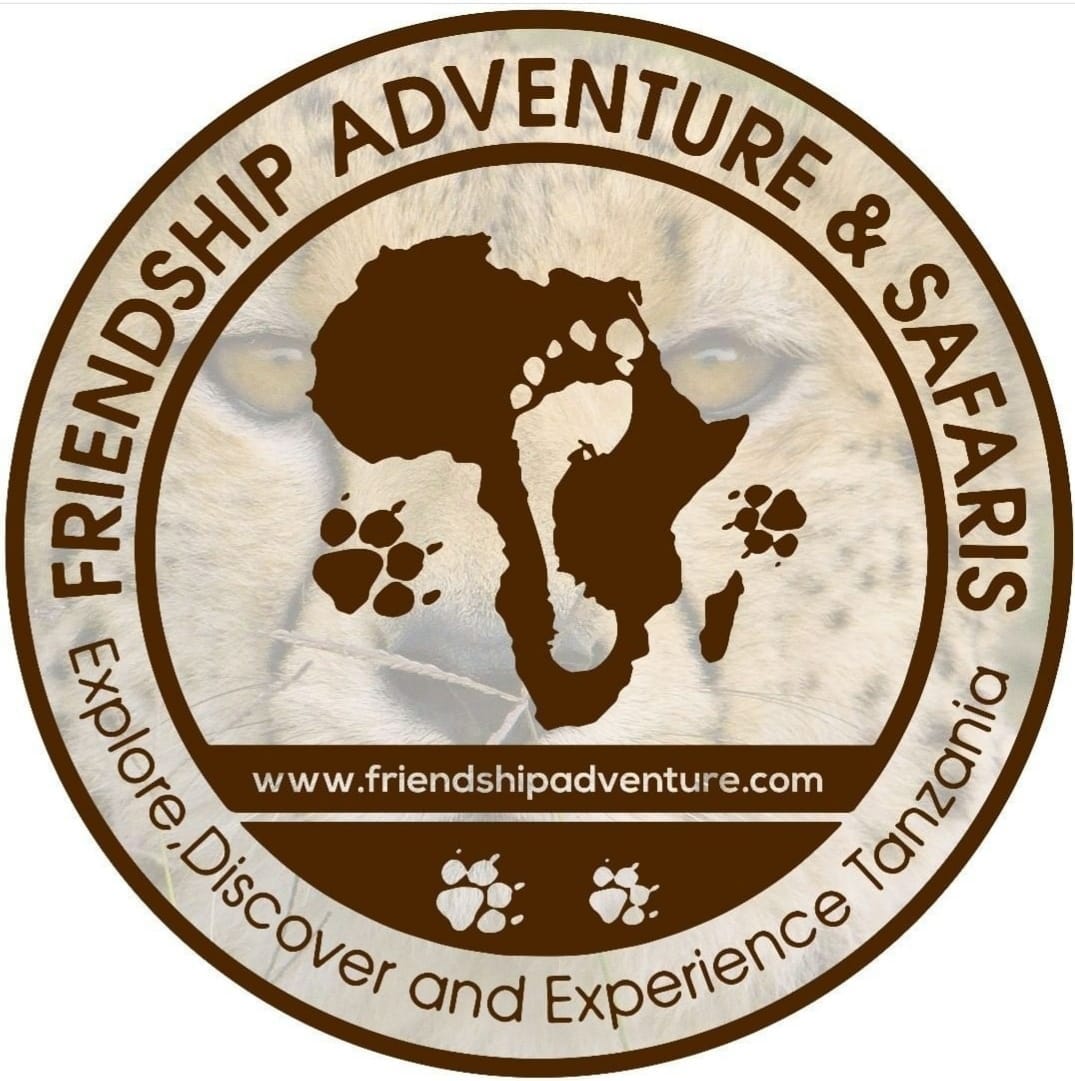 Friendship Adventure – Medium