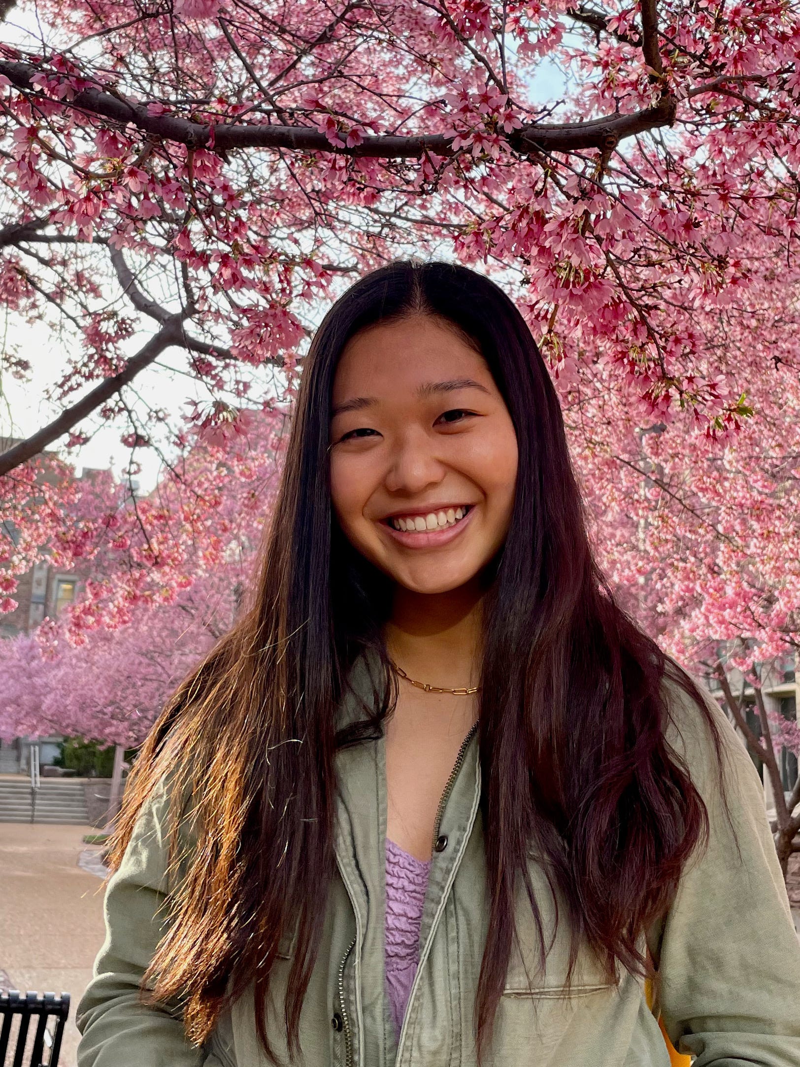 Allison Fong – Medium