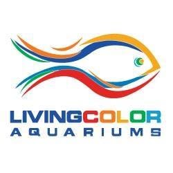 Living Color Aquariums – Medium