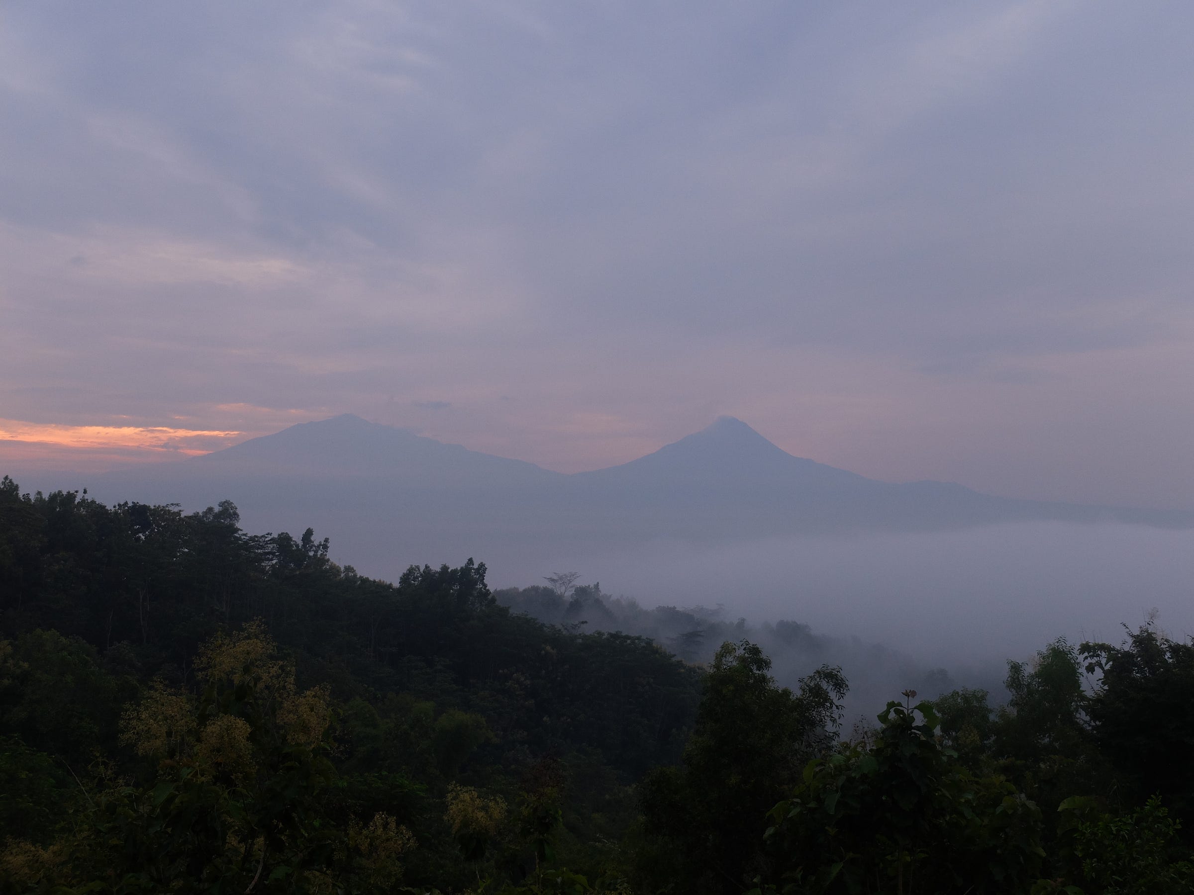 Cody Mazza-Anthony – Medium