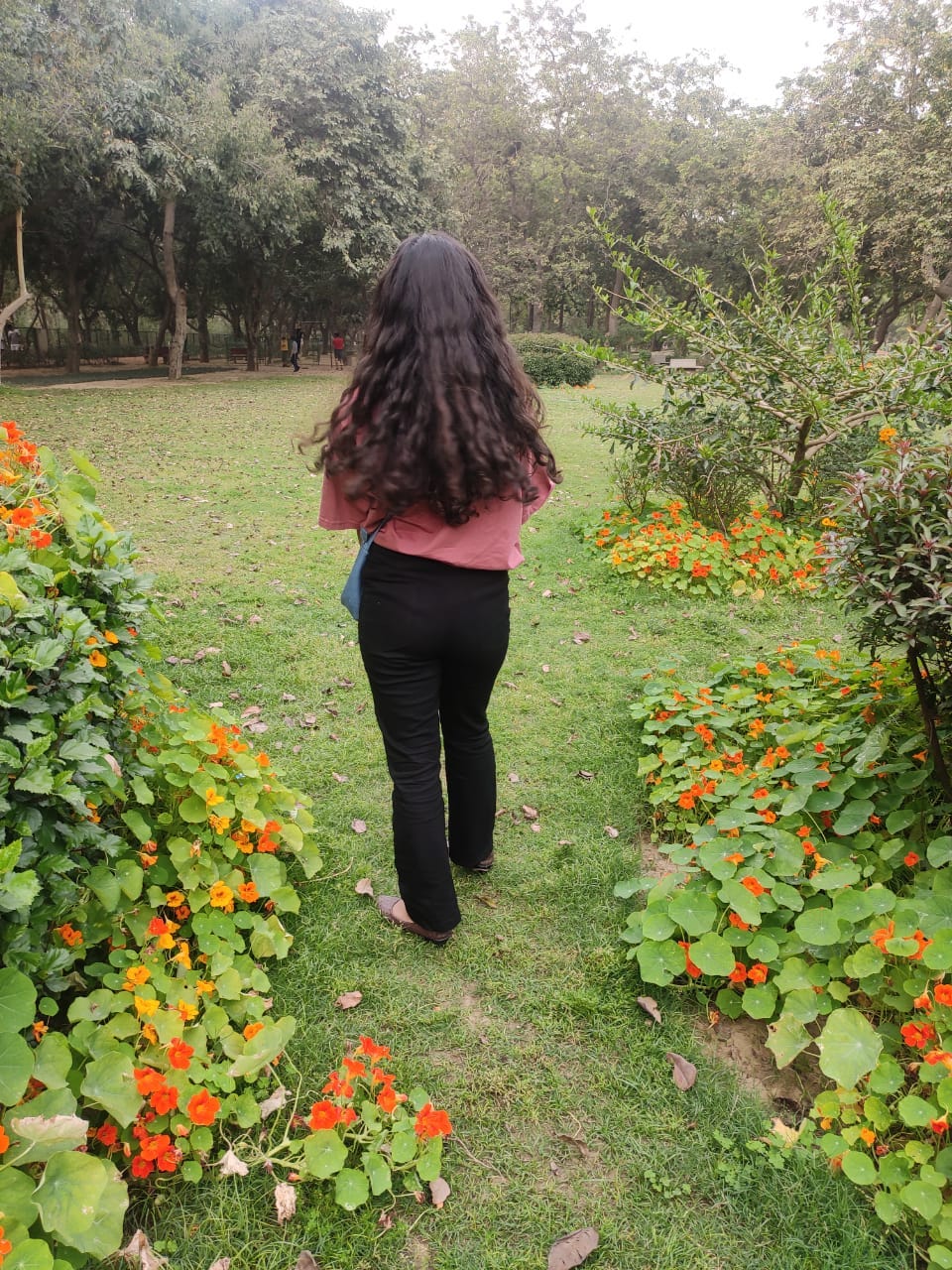 Rohini – Medium