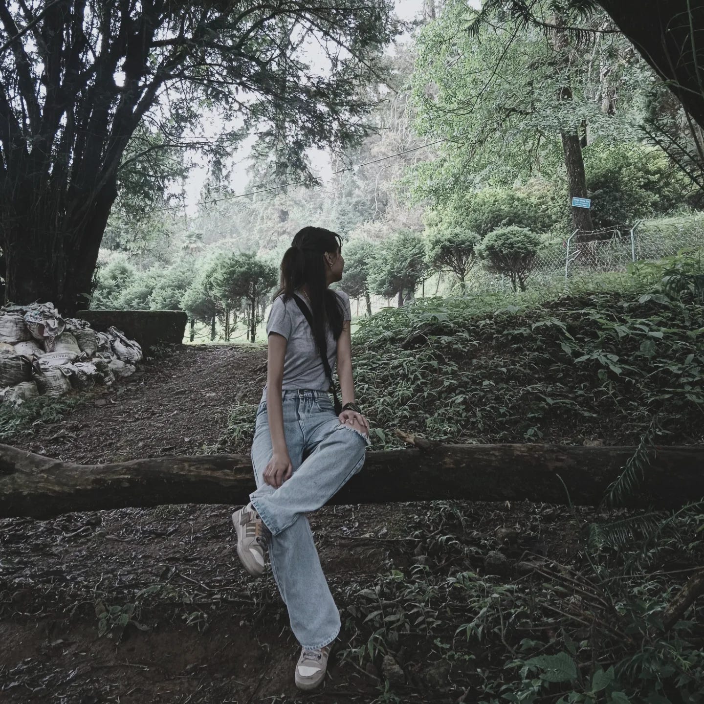 Pragya Thapa – Medium