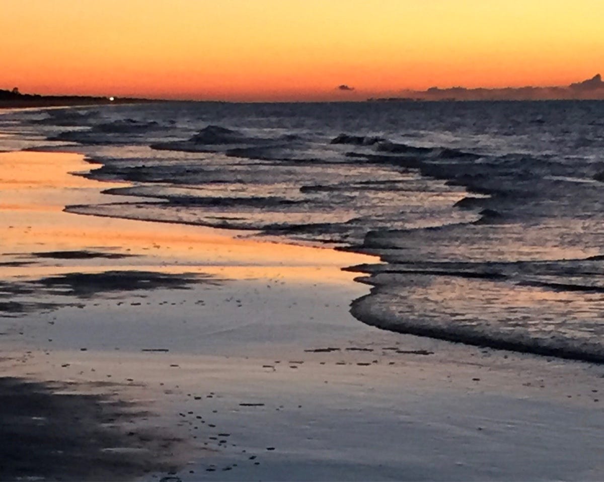 Kelly Albers – Medium