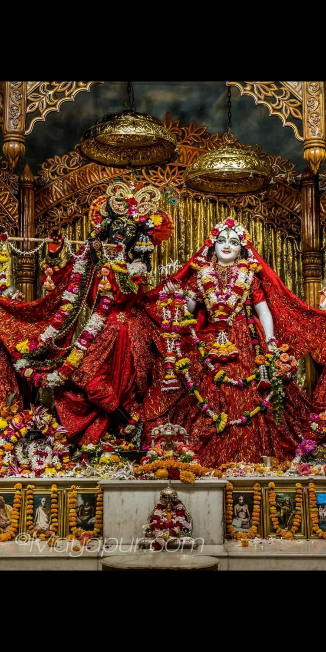 Mayur Pamnani – Medium