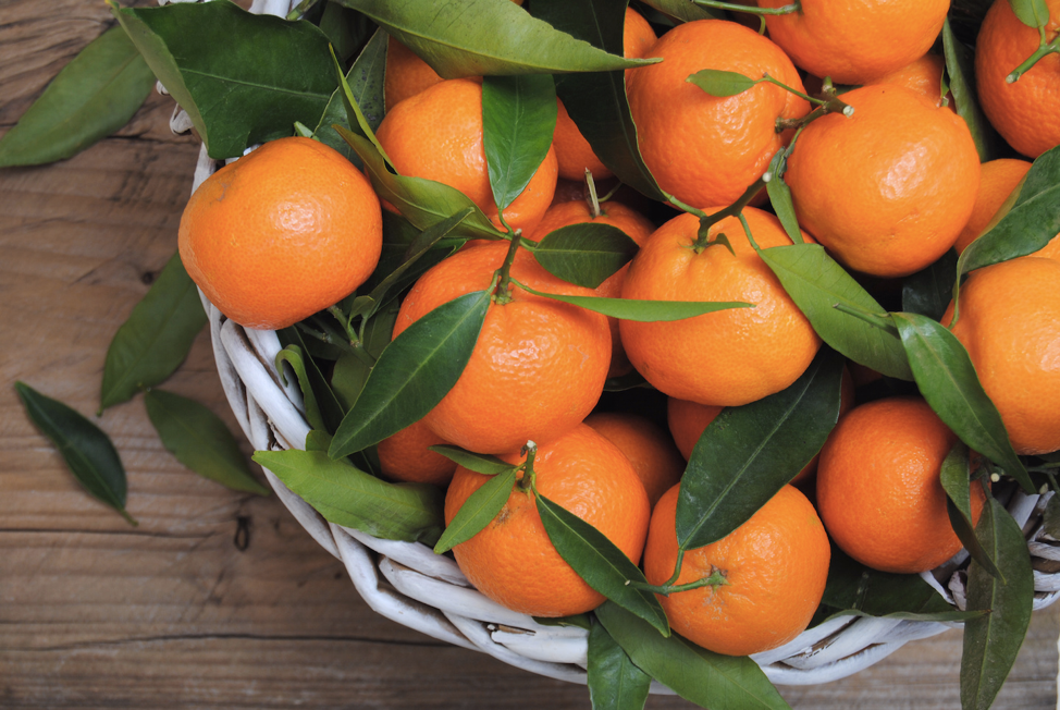 Mandarin Life – Medium