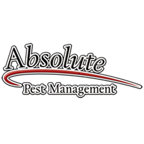 Absolute Pest Management – Medium