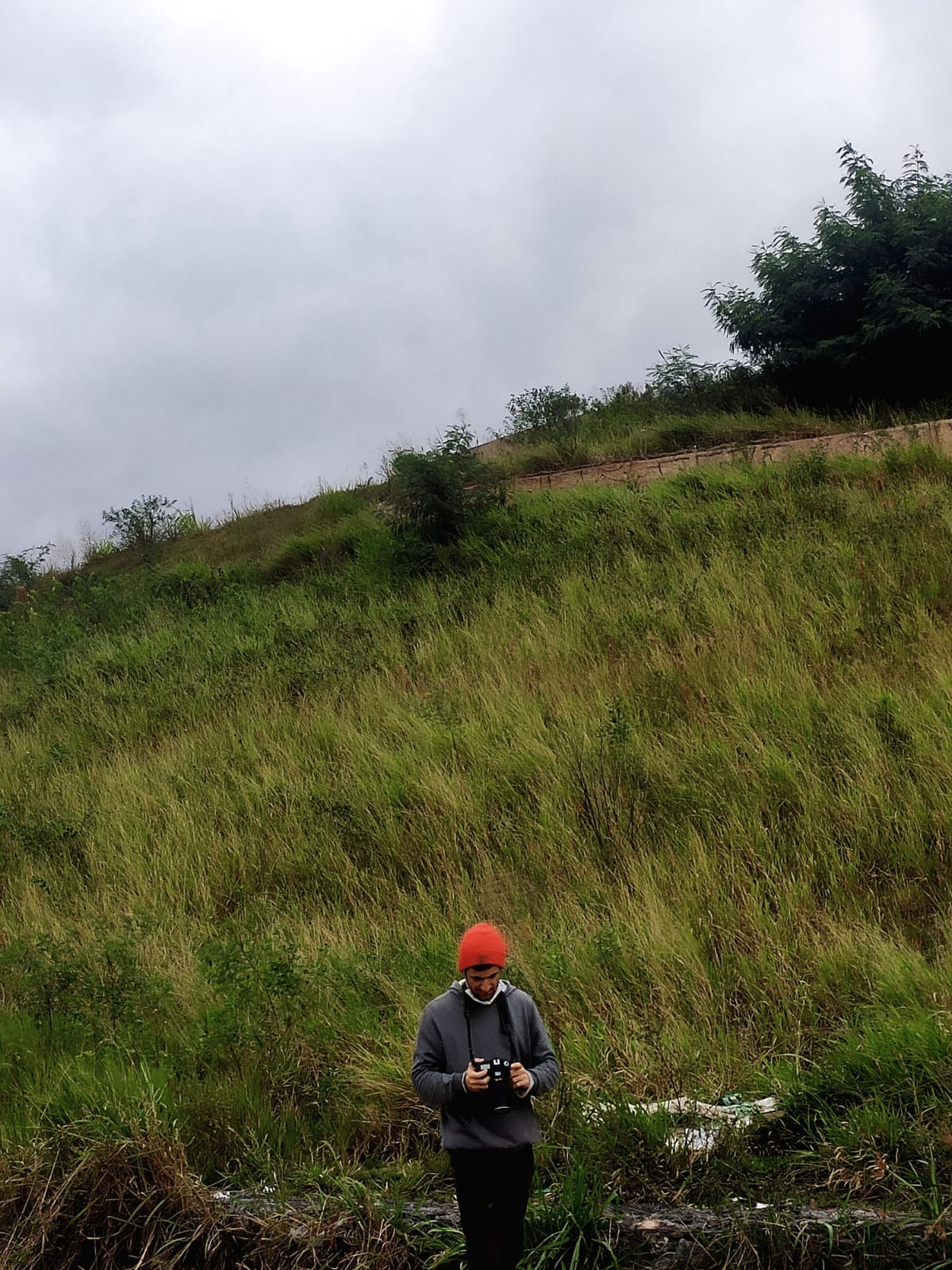 Rodrigo Saad – Medium