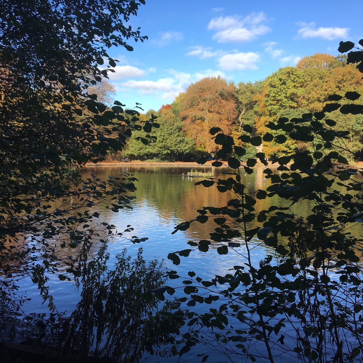 Average Runner – Medium