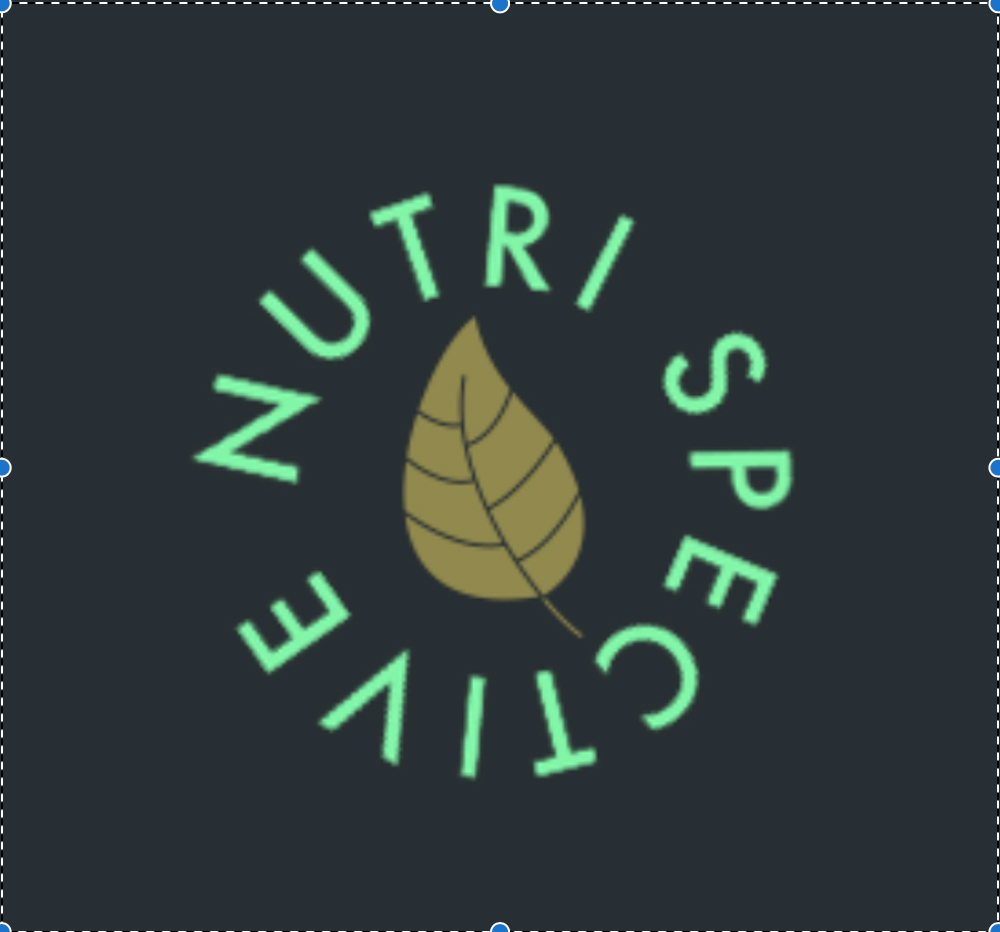 Nutrispective – Medium