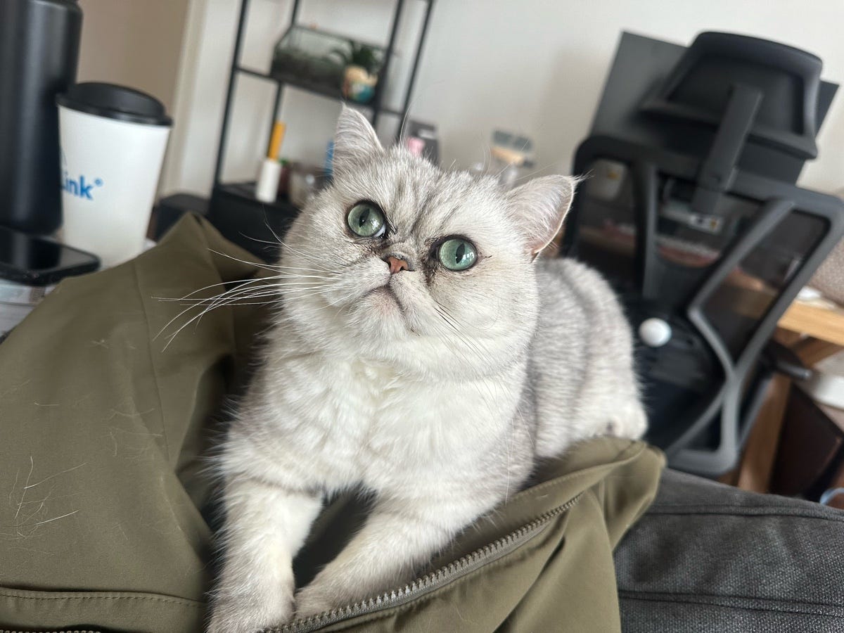 Emma Clarke on Medium curated some lists