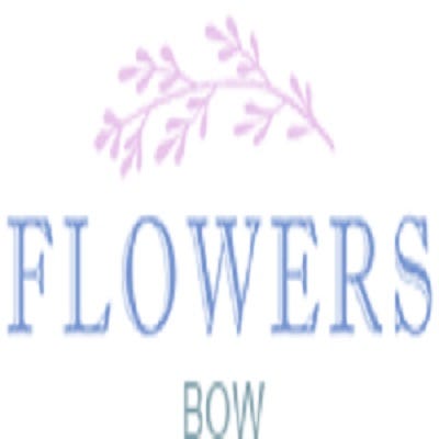 Flower Delivery Bow – Medium