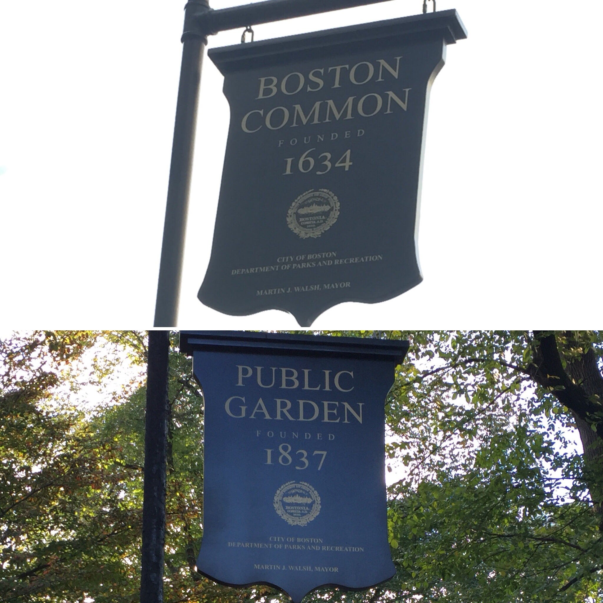 Structures and Histories of America’s Original Parks