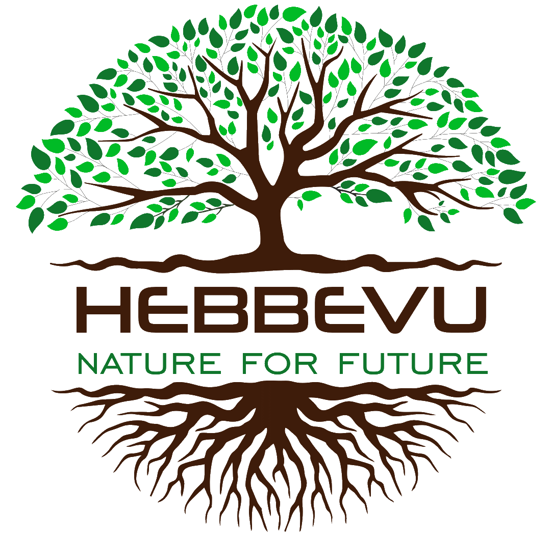 About – Hebbevu Farm land – Medium