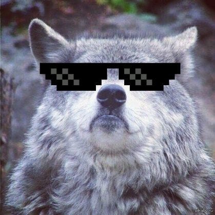 Dmitry Pankrashov – Medium