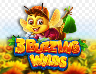 3 Buzzing Wilds – Medium