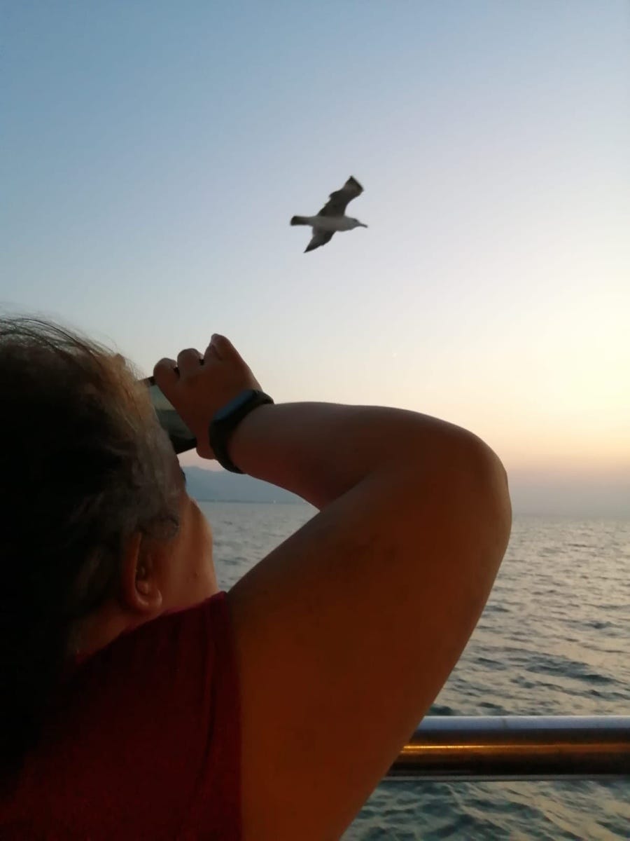 Senem Terzi – Medium