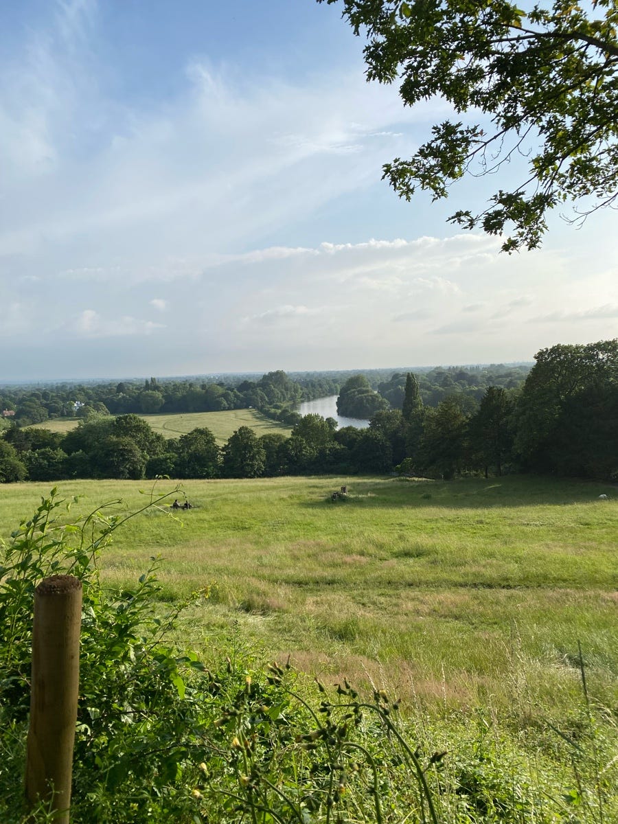 Lenise Williams – Medium