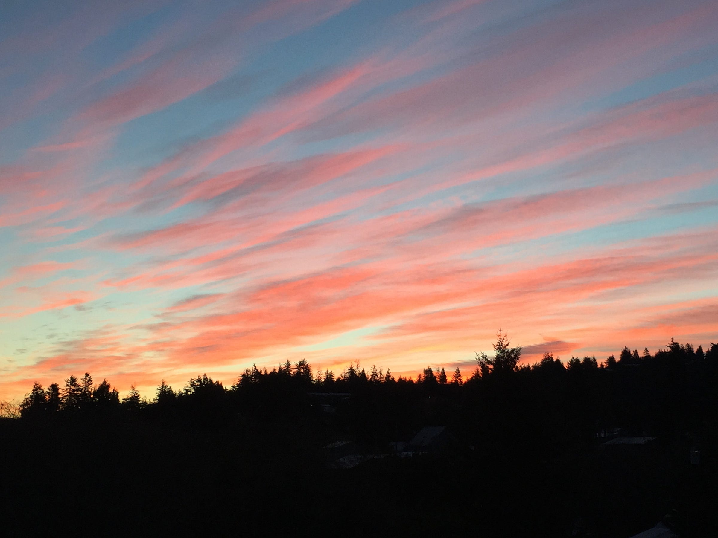 Aryana Mill – Medium