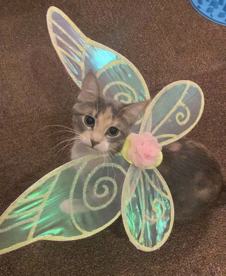 Salsabila Ardhani – Medium