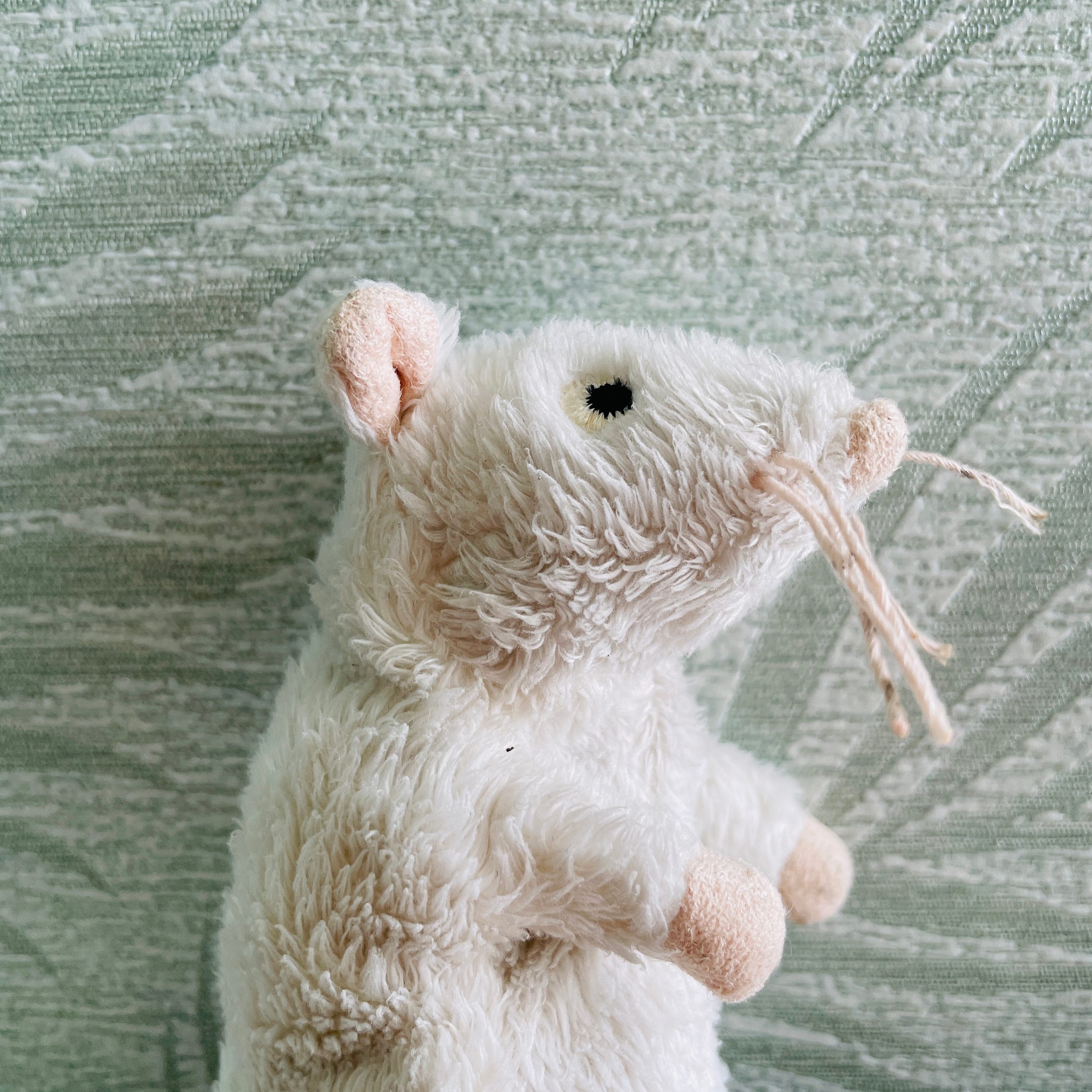 Mindful Mouse – Medium
