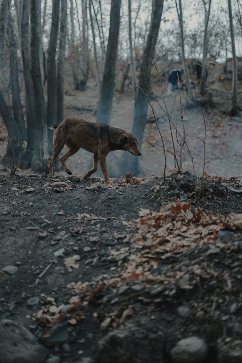 Maybe later – Medium