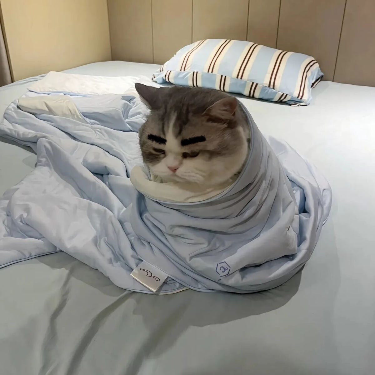 About – y_kel – Medium