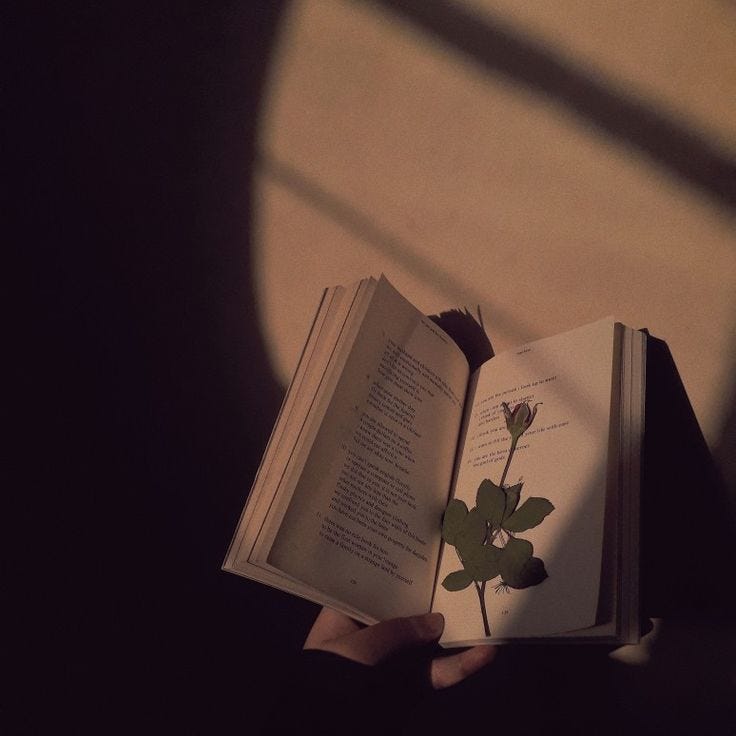 Kafkaesque – Medium