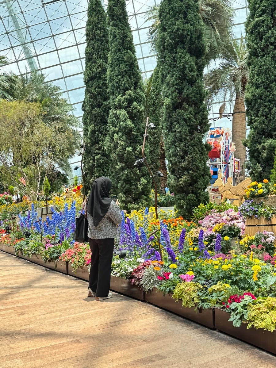 Faujia J. – Medium