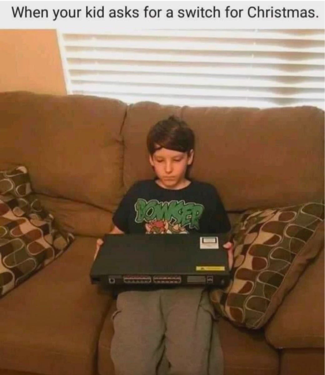 M. Said Temelli – Medium