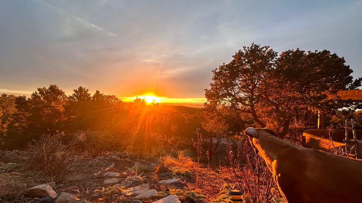 Marco Di Prima – Medium