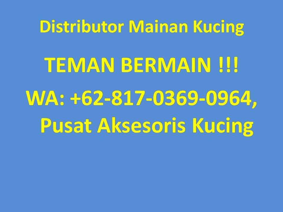 +62–817–0369–0964, Agen Aksesoris Kucing – Medium