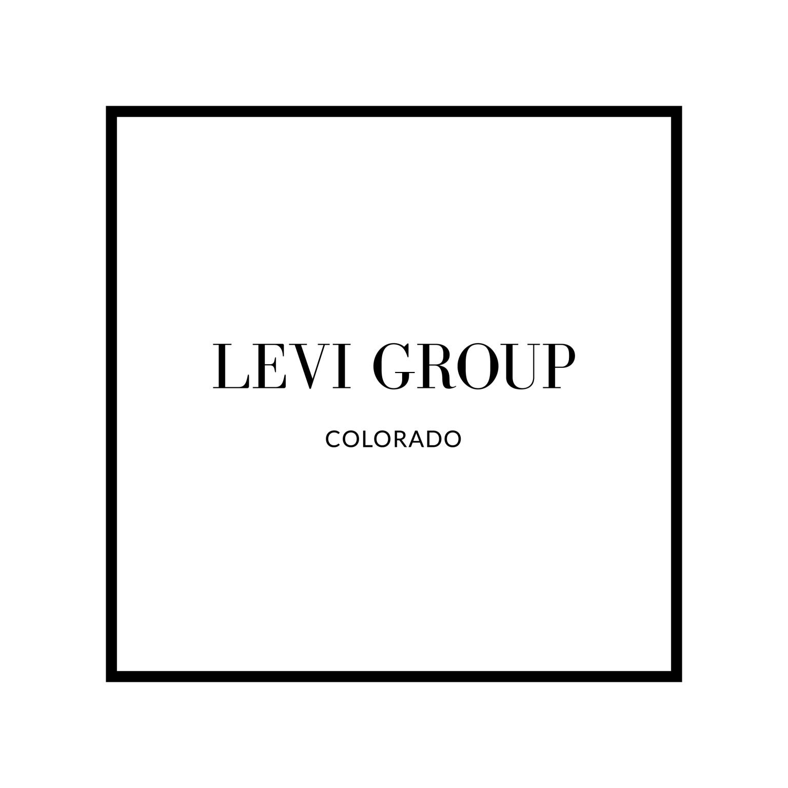 Thelevi Group – Medium