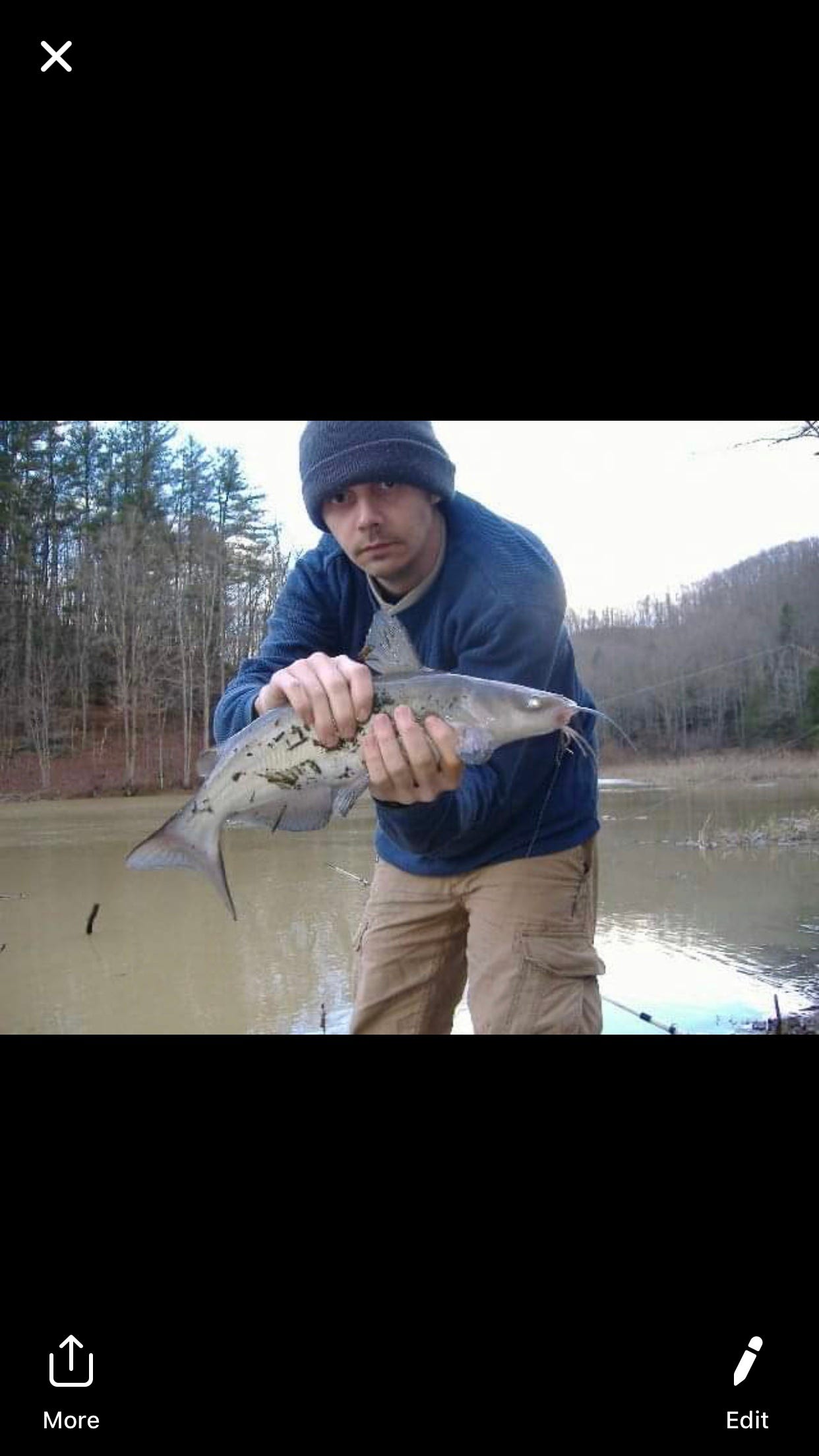 Cat fishing chasing a monster