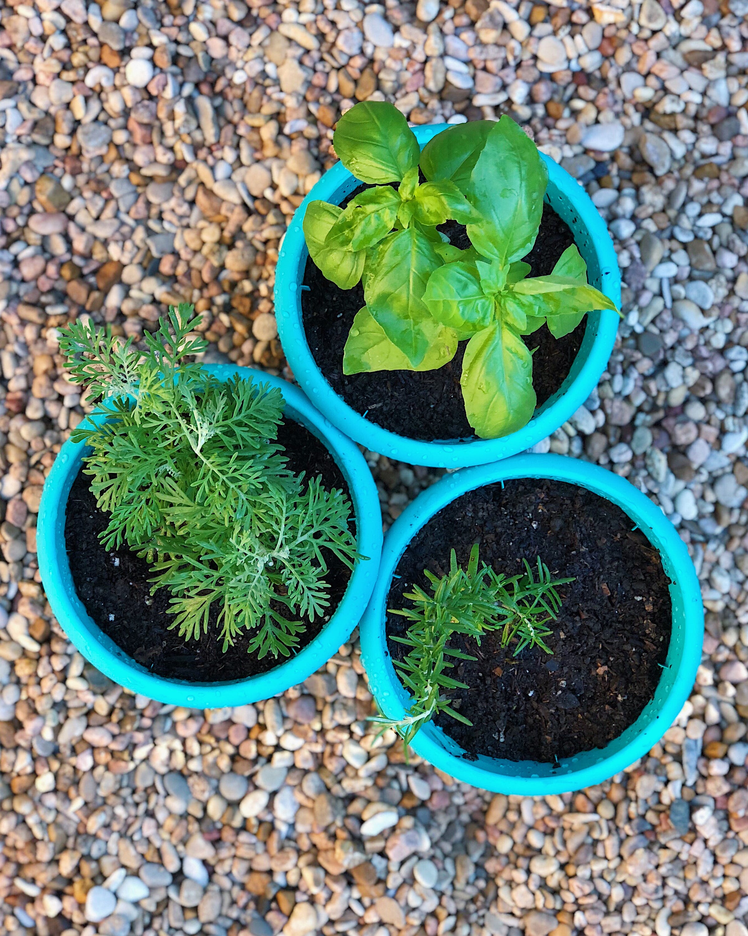 On Growing